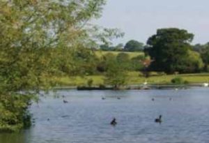 EXTENDING THE DEDHAM VALE AREA OF OUTSTANDING NATURAL BEAUTY (AONB ...