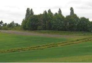 EXTENDING THE DEDHAM VALE AREA OF OUTSTANDING NATURAL BEAUTY (AONB ...