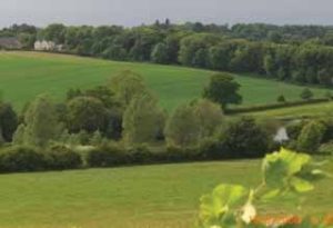 EXTENDING THE DEDHAM VALE AREA OF OUTSTANDING NATURAL BEAUTY (AONB ...
