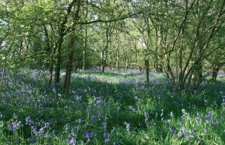 Dedham Vale AONB and Stour Valley Project - Colne Stour website